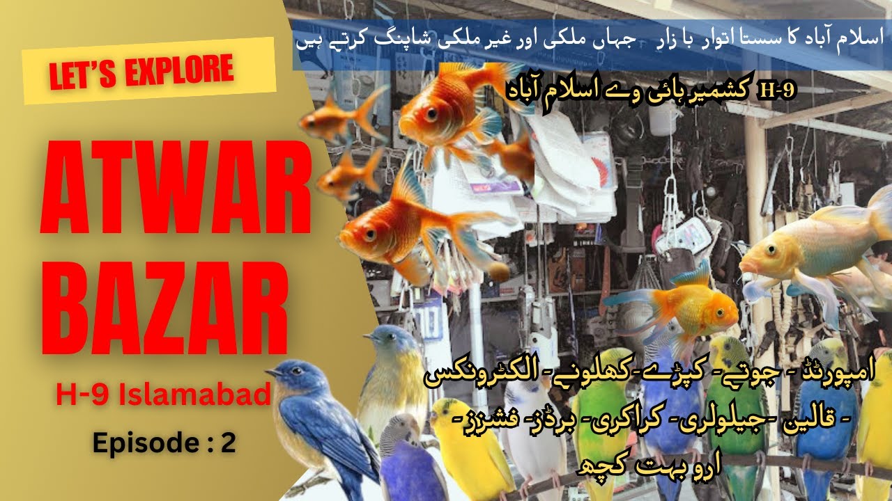 Islamabad's Itwar Bazar Adventure: Exploring Seafood, Pets, and More! - YouTube