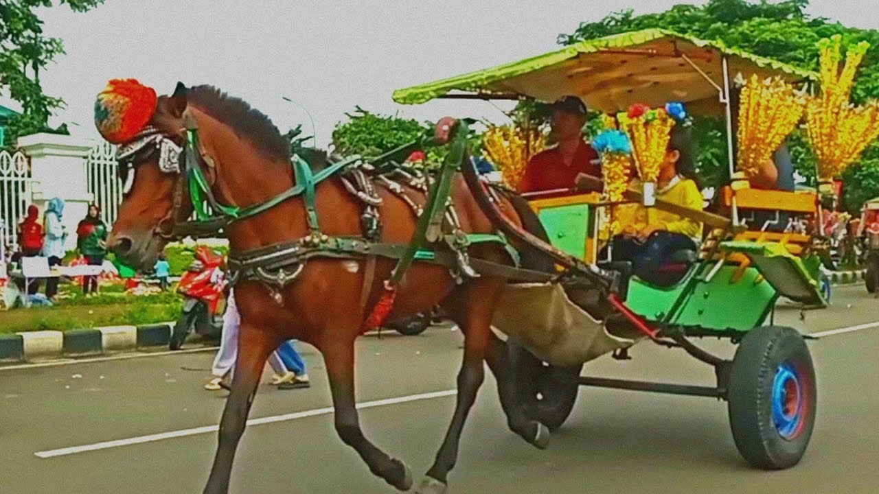 🔵 NAIK DELMAN ~ LAGU ANAK INDONESIA ~ NAIK DELMAN ISTIMEWA ~ LAGU ANAK ...