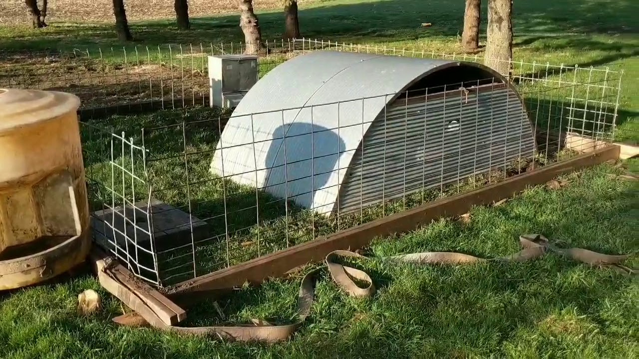 Pig Tractor - YouTube