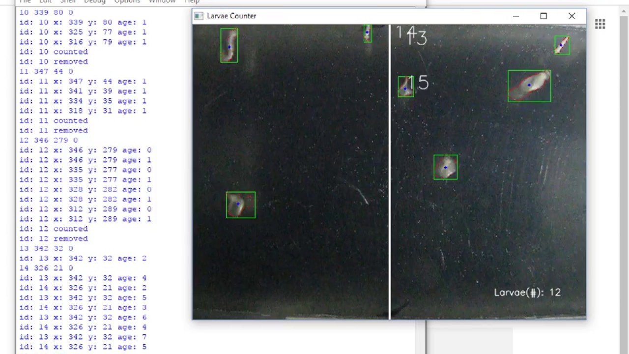 OpenCV Background subtraction for automatic mosquito larvae counting ...
