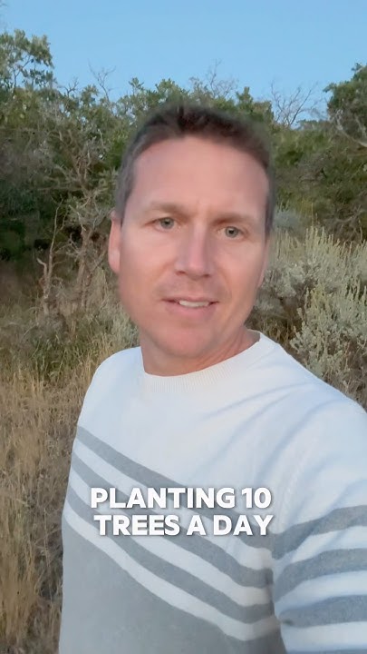 Day 2 of planting 10 trees a day. #planting #trees #fyp #dyi - YouTube