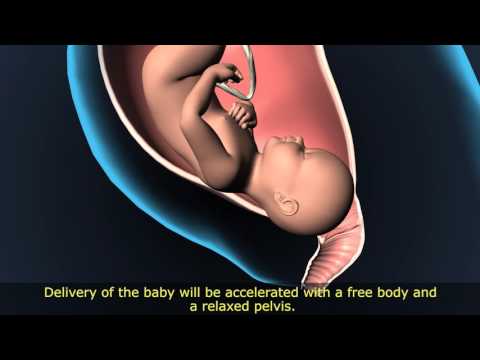 Vertical Birthing Chair Technical (Eng Sub)