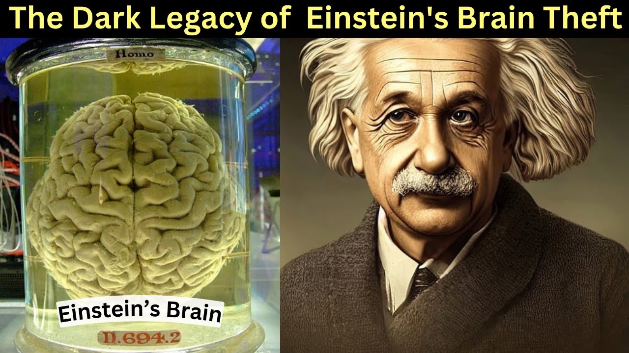 How Einstein's Stolen Brain Changed History Forever ? - YouTube