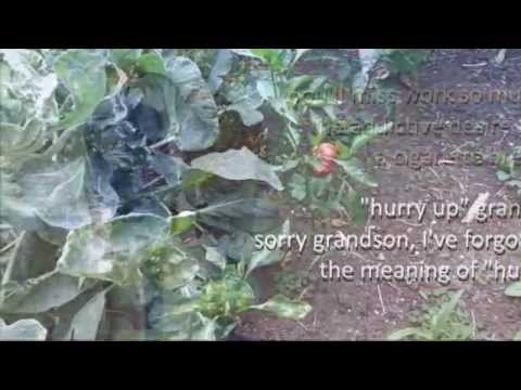 Haiku retirement and pension poems - YouTube