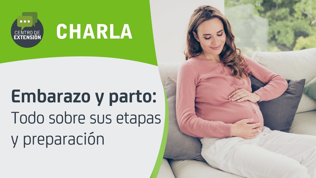 Charla Online - Embarazo y parto: Todo sobre sus etapas y preparación ...