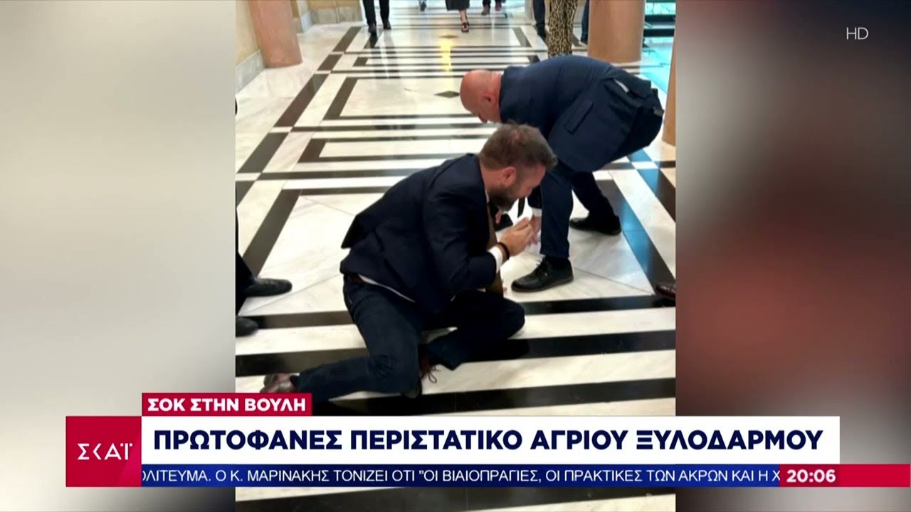 Σοκ στην Βουλή: Πρωτοφανές περιστατικό άγριου ξυλοδαρμού | Ειδήσεις ...