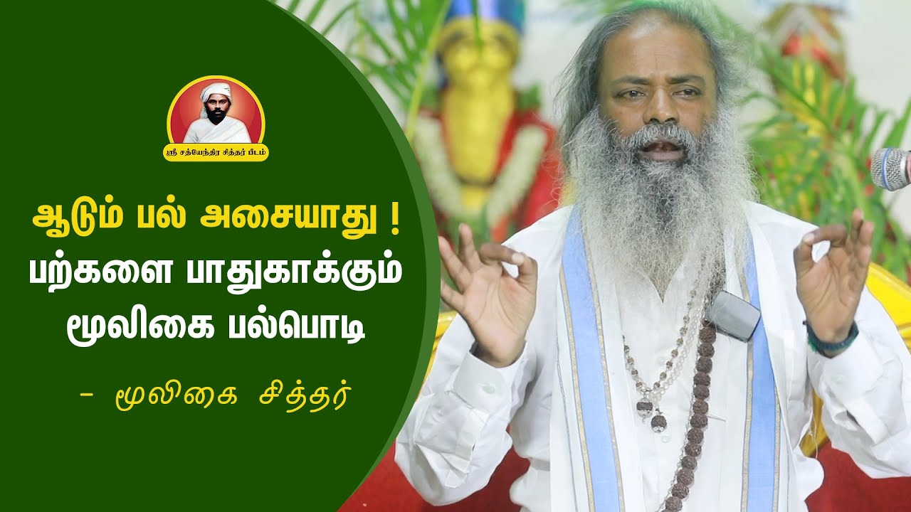 ஆடும் பல் அசையாது ! பற்களை பாதுகாக்கும் மூலிகை பல்பொடி ~ Mooligai ...