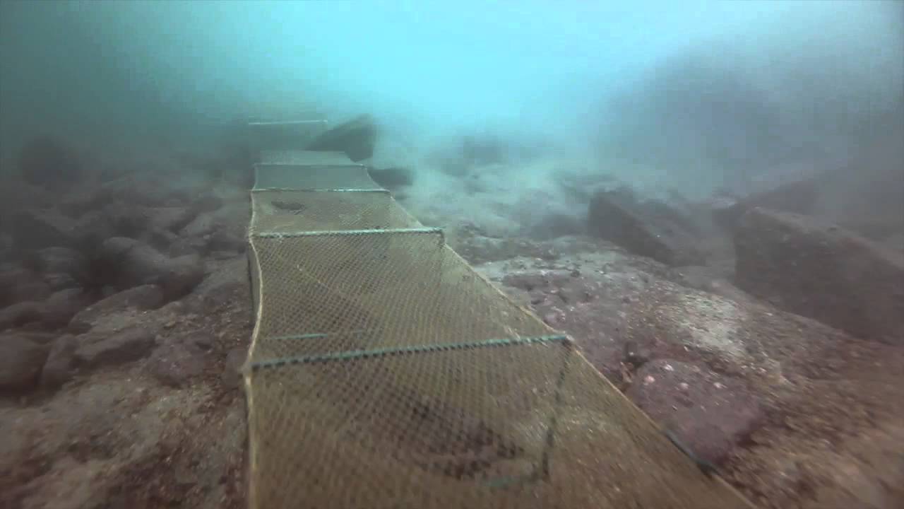 Long Fishing Trap 長籠 - YouTube