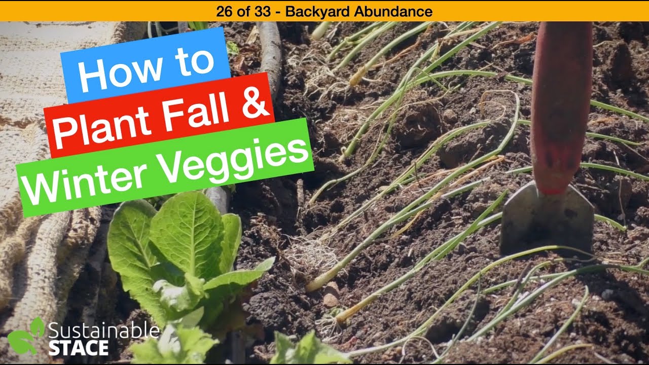 26 of 33 – Backyard Abundance – How to Plant Fall & Winter Veggies ...