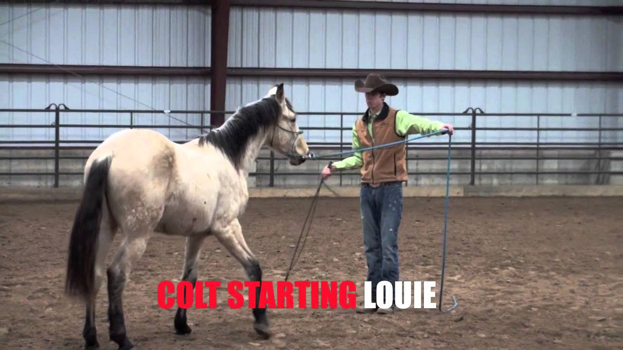 Colt Starting - YouTube