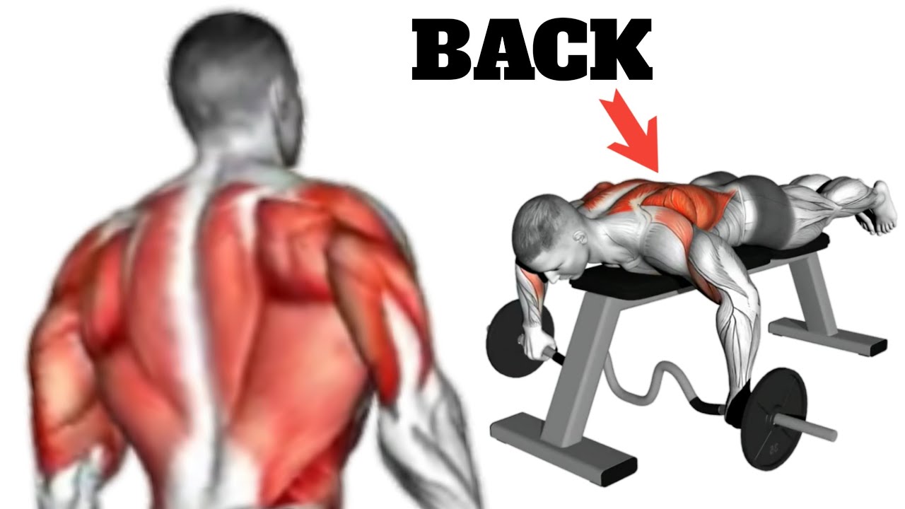 Best Effective Exercises to Grow Bigger BACK || - YouTube