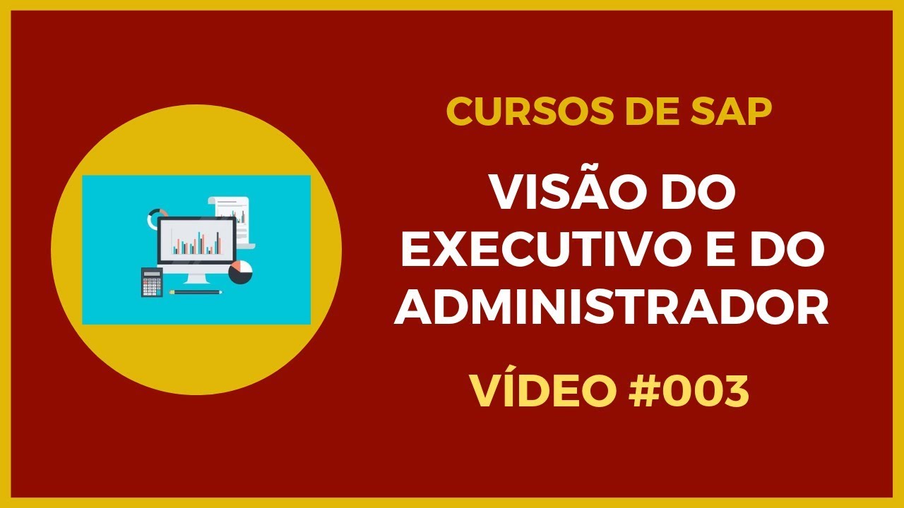 ERP SAP Para Iniciantes Curso Grátis de SAP Básico Aula 03 - Visão do ...