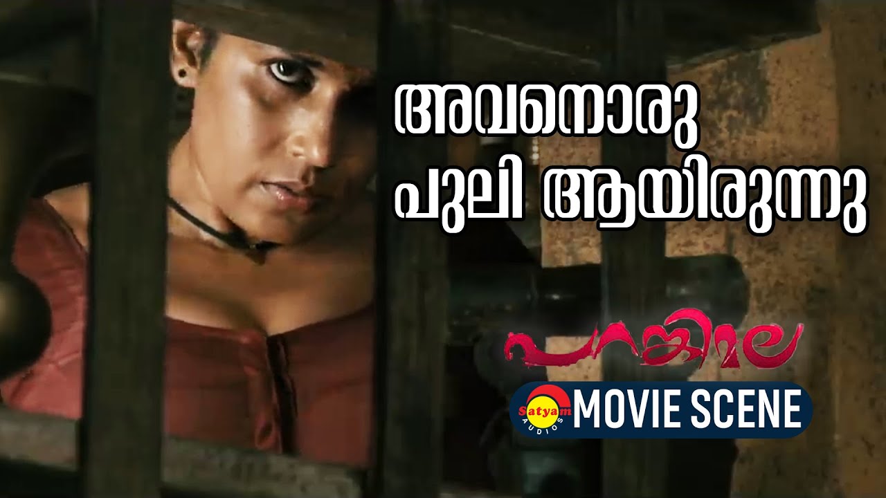 അവനൊരു പുലി ആയിരുന്നു | Parankimala Movie Scene - YouTube