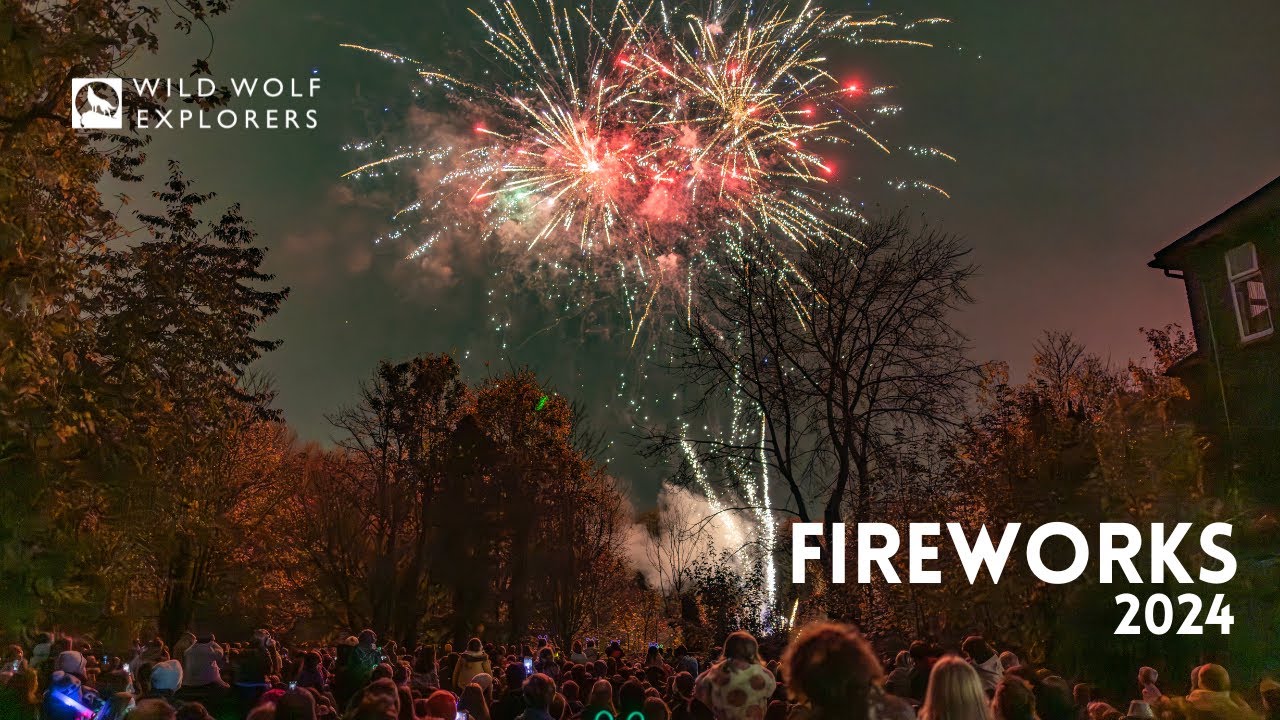 Wild Wolf ESU Fireworks Display 2024 - YouTube