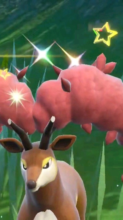 Shiny Sawsbuck in Pokémon Scarlet! #scarlet #pokemon #shiny # ...