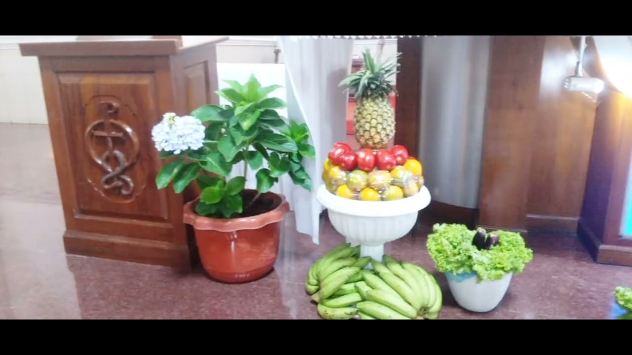 Dekorasi Gereja Hari Ekologi KAM, dengan merangkai buah dan sayur - YouTube