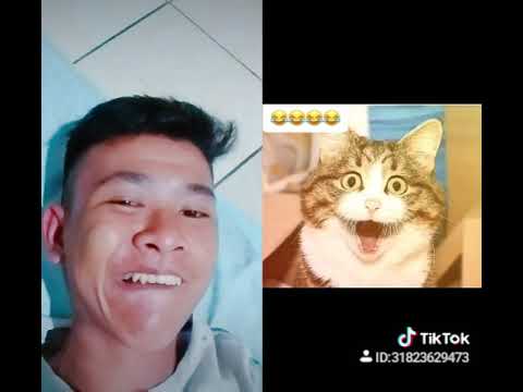 5 kumpulan video tik tok kocak - YouTube