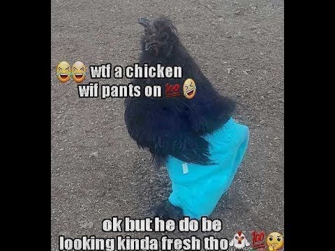 Hmm yes indubitably... (Gaming Montage) - YouTube