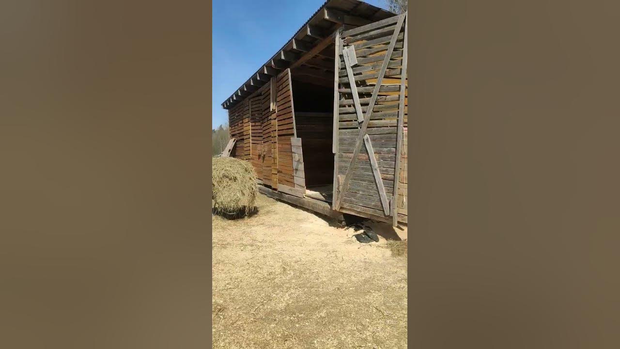 Красивая ферма с животным Жизнь за городом Youtube