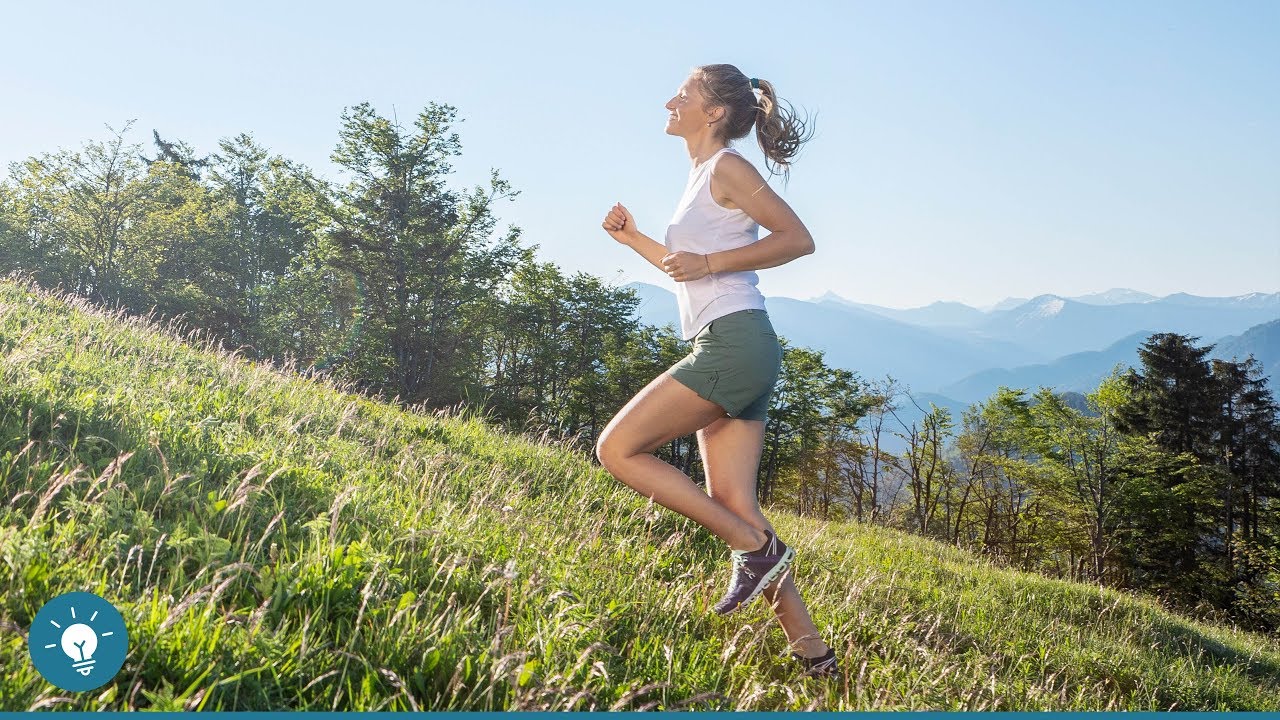 Knochengesundheit: Tipps für starke Knochen 💪 - YouTube