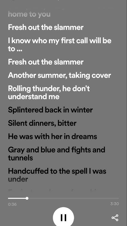 Fresh Out The Slammer Lyrics #taylorswift #ttpd #spotify #lyrics ...
