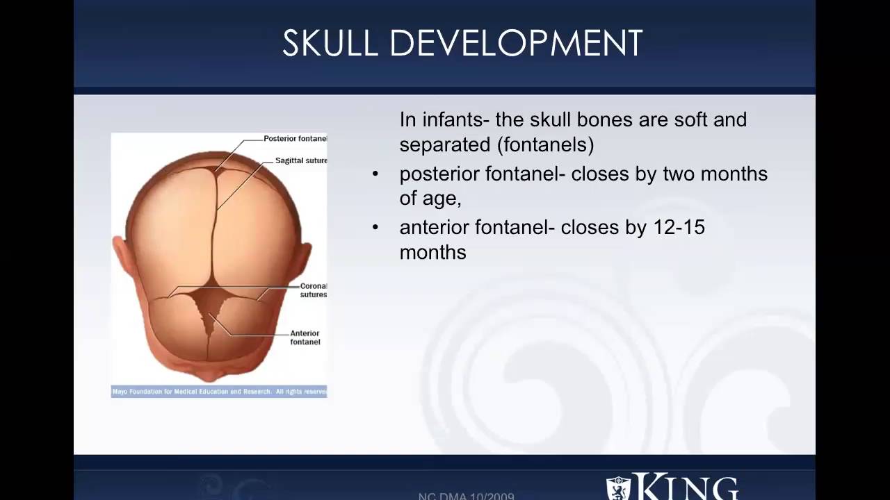 Pediatric Assessment YouTube pediatric-assessment-youtube