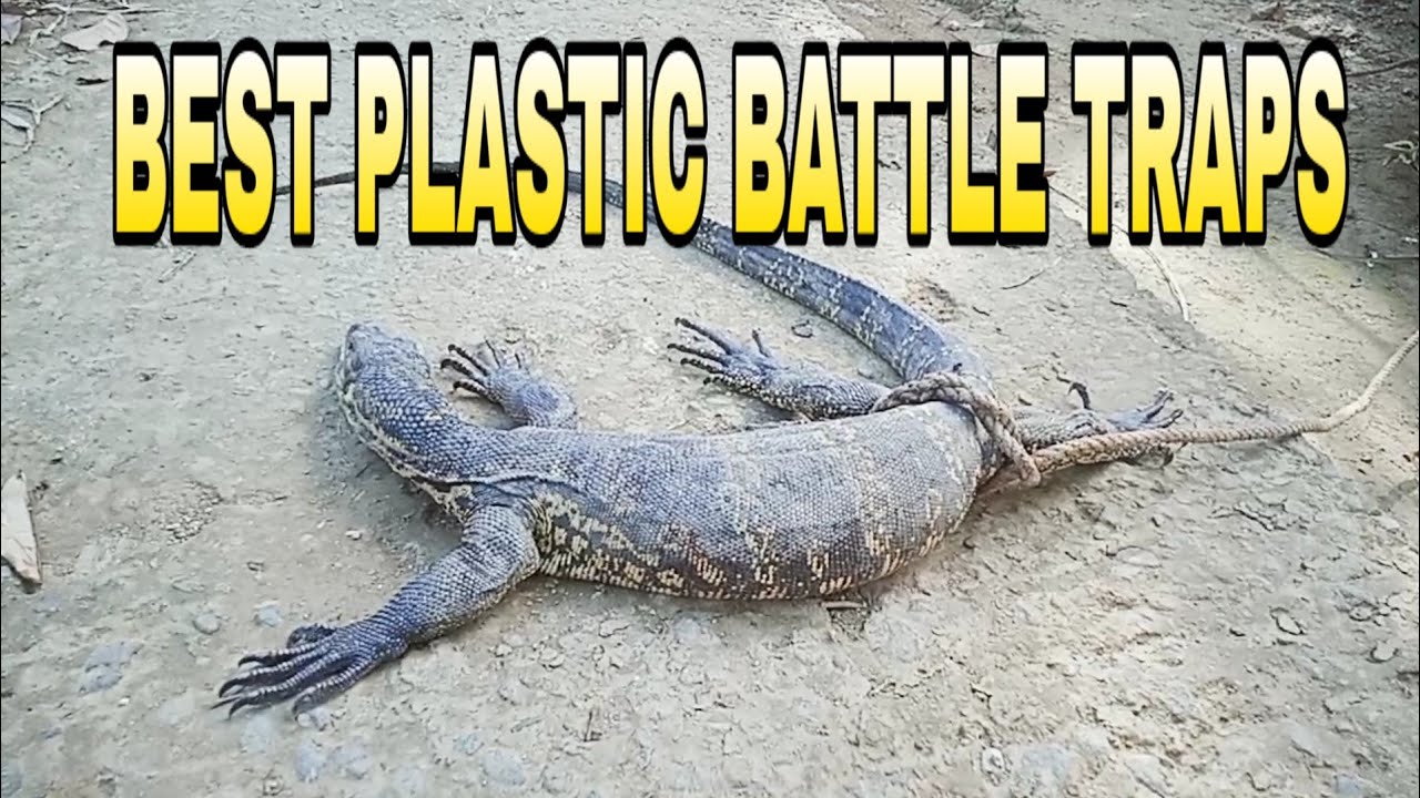 BEST LIZARD TRAPS - YouTube