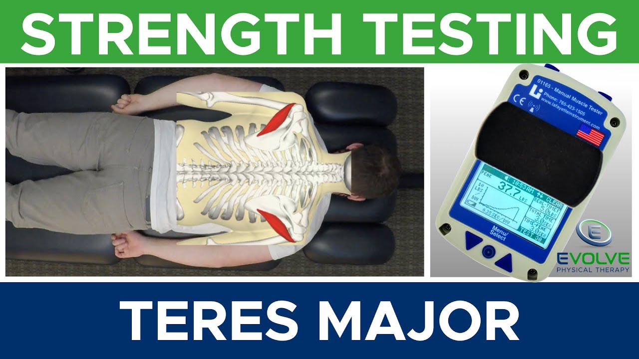 Teres Major | Strength Testing with a Hand Held Dynamometer - YouTube