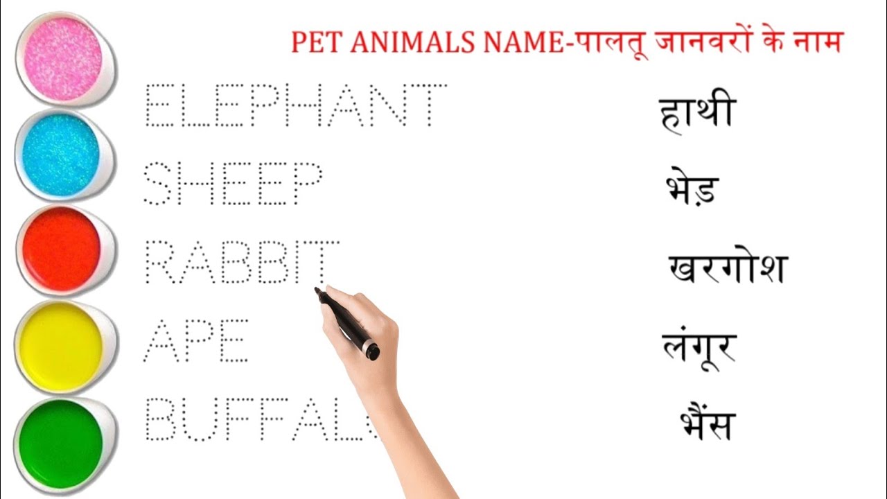 Wild animals names | animals for kids | animal vocabulary with pictures ...