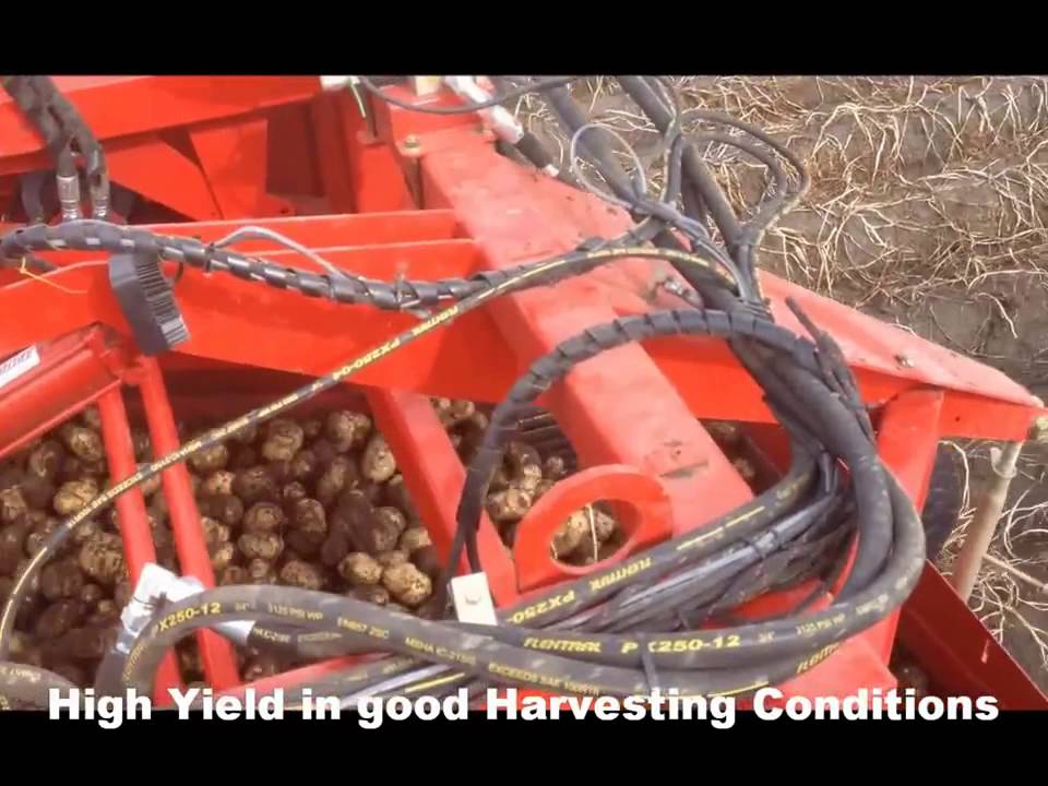 Spudnik 6640 Harvester - YouTube