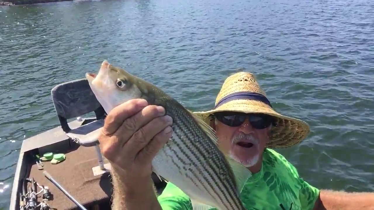 Experimenting with a Lake Fork Flutter Spoon on Lake Murray - YouTube