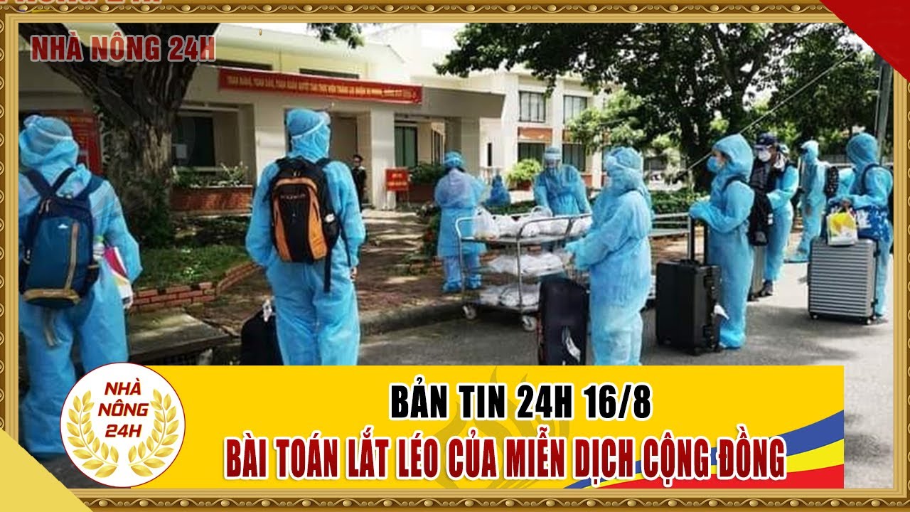 Tin tức | Tin tức 24h mới nhất hôm nay 16/8/2020 | Bản tin Tối | Người ...