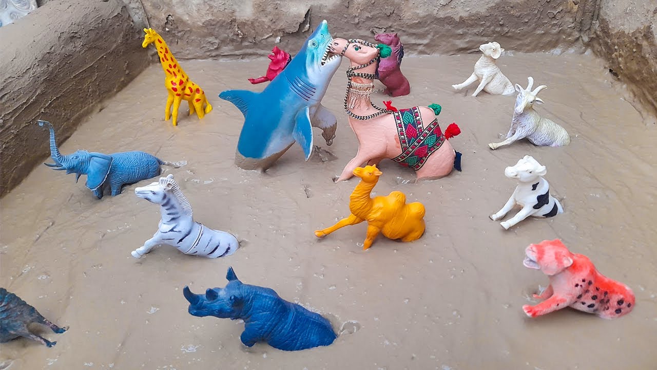Big camel shark is eating this camel and with this zoo animals farm ...