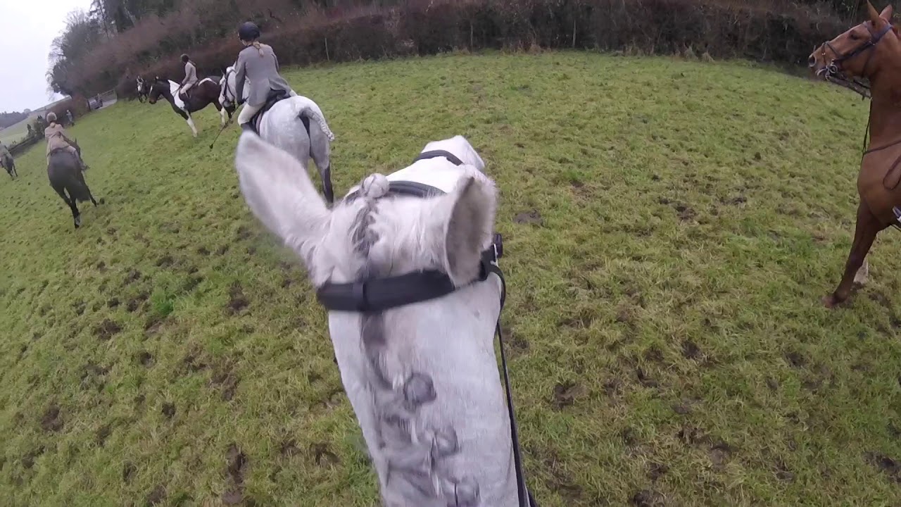 Portman Hunt 23/12/17 - YouTube