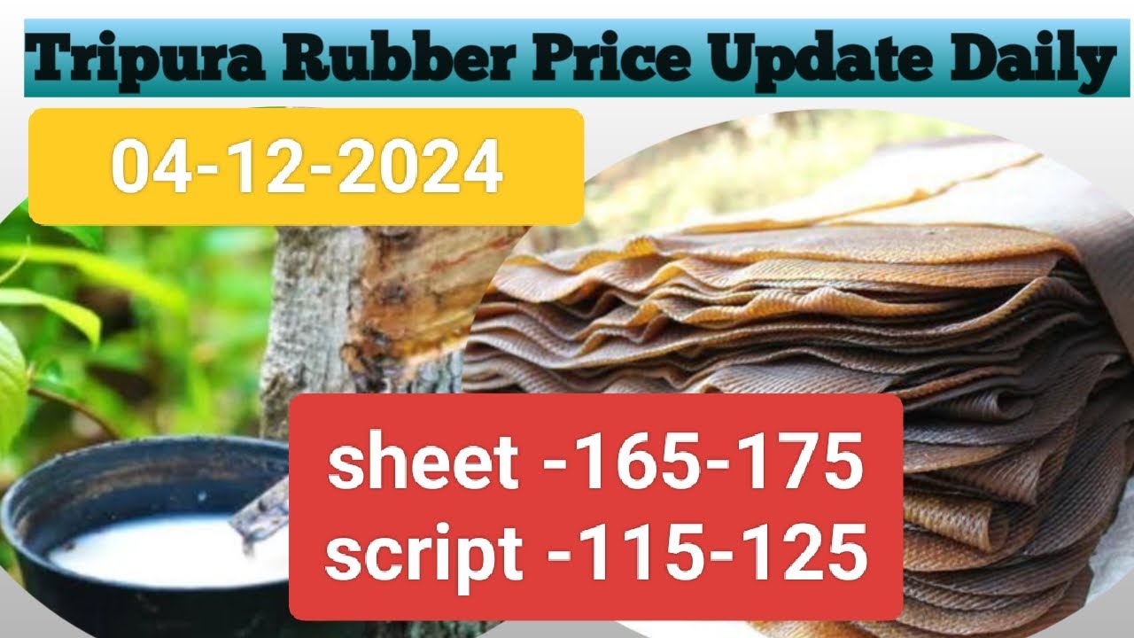 Tripura RUBBER Price Update Daily YouTube tripura-rubber-price-update-daily-youtube