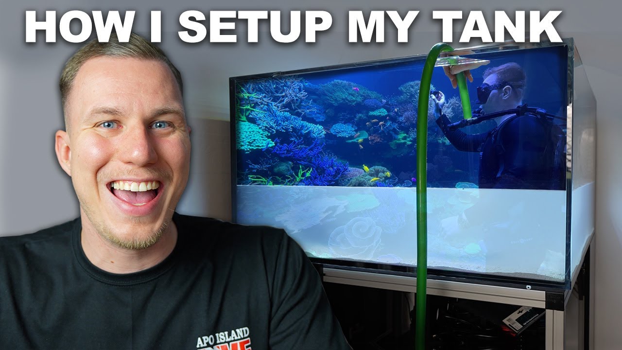 The crazy story of... how I setup my new REEF TANK + diving in a shark ...