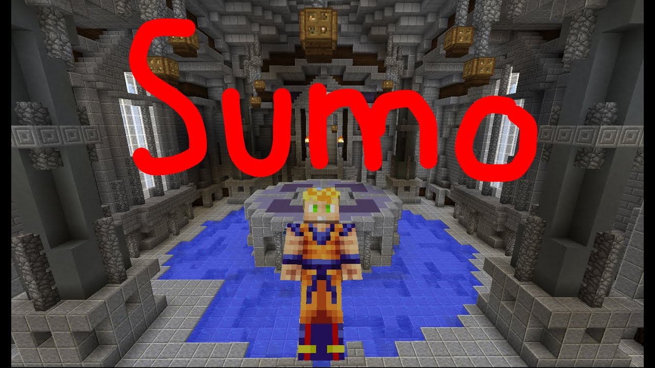 Hypixel Sumo Duels- Playing Against Randoms (Actually Winning Some ...
