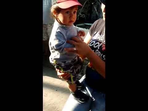 Maximus de 1 año