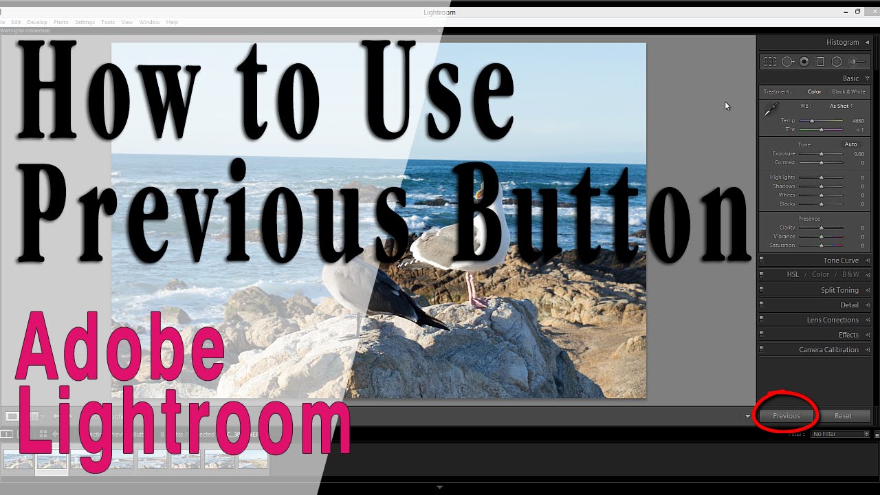 How to Use the Previous Button in Lightroom - YouTube