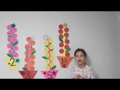 1. Sınıf Sayı Sayma Videosu