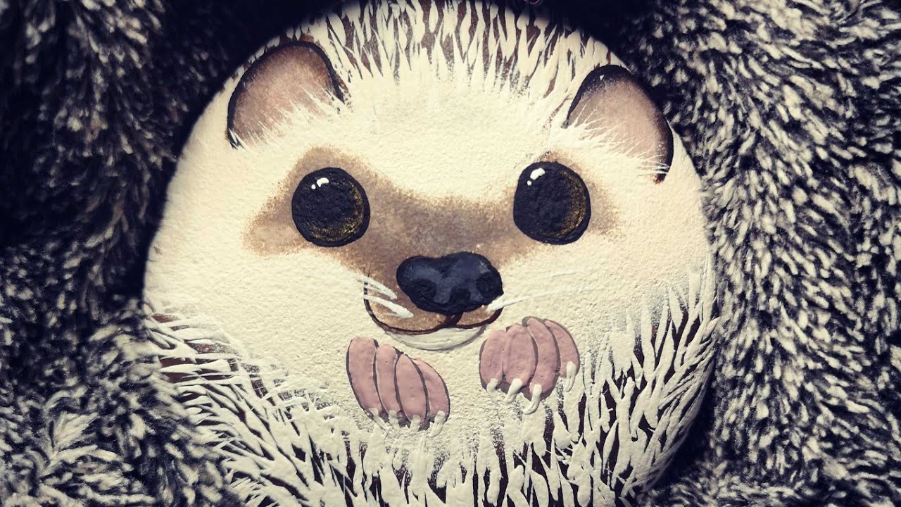 Painted Hedgehog - YouTube