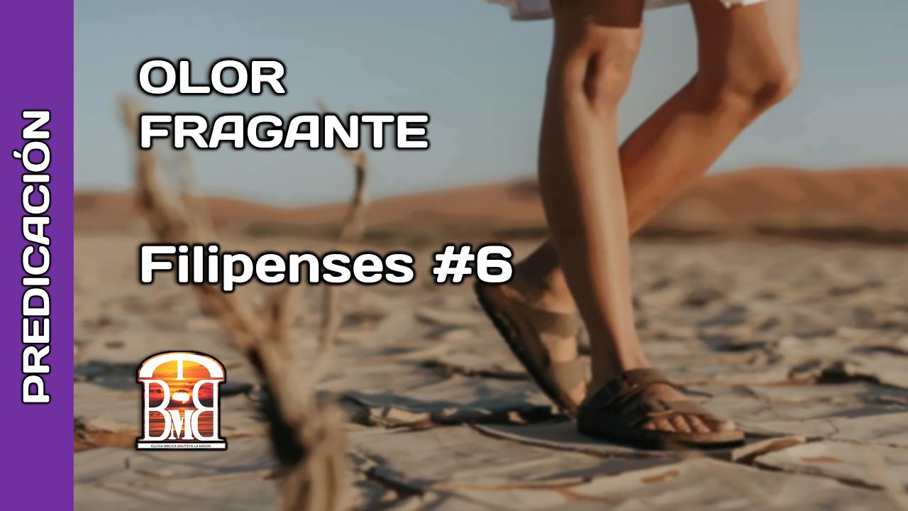OLOR FRAGANTE | Estudio del libro de Filipenses #6 - YouTube