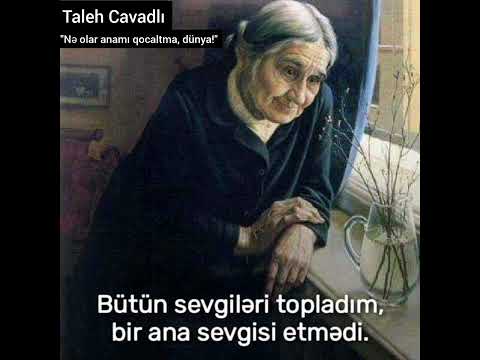 Taleh Cavadlı. \