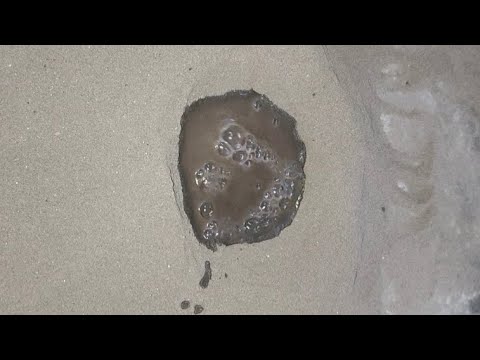 Sand play, water mixing and shapes making | Lil ASMR World - YouTube