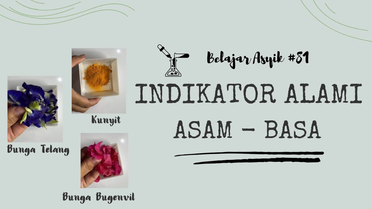 Belajar Asyik #81: Indikator Alami Asam-Basa | IPA SMP 7 - YouTube