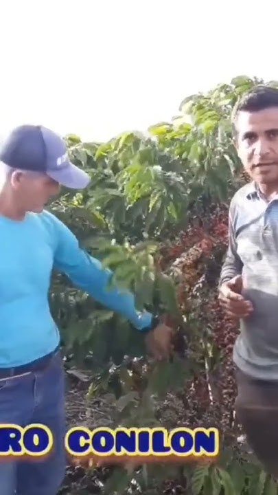 clone lb1 muito caregado - YouTube