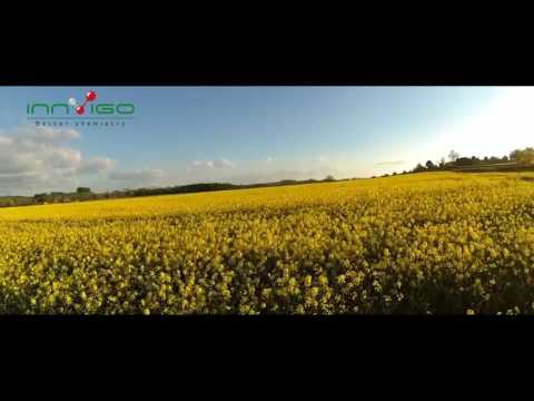 Innvigo Agro -PYRIFOS 480 EC - YouTube