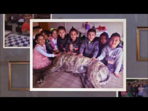 Emma Roberson Elementary School - 2016-2017 Highlights - YouTube