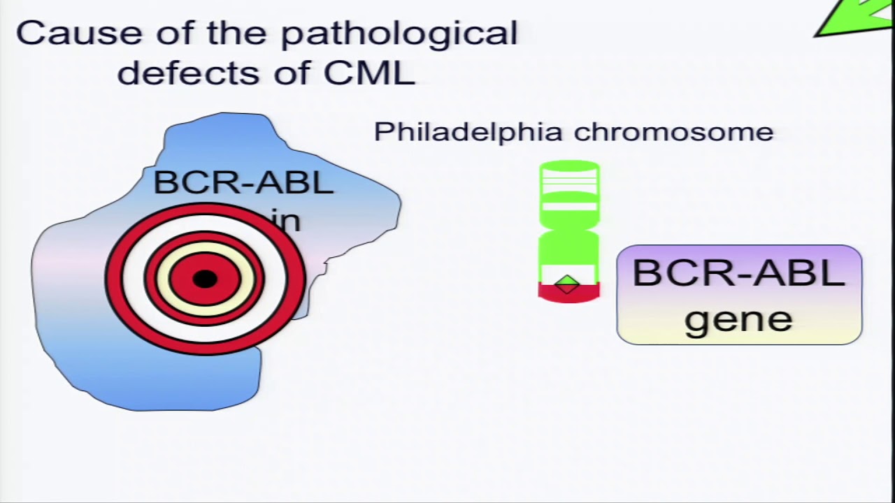 Chronic myeloid leukaemia. What is it? Dr Kate Rothwell - YouTube