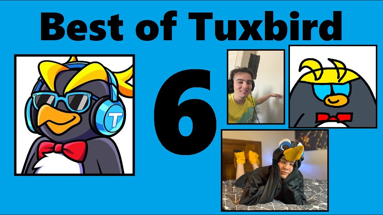 Best of Tuxbird 6! - YouTube